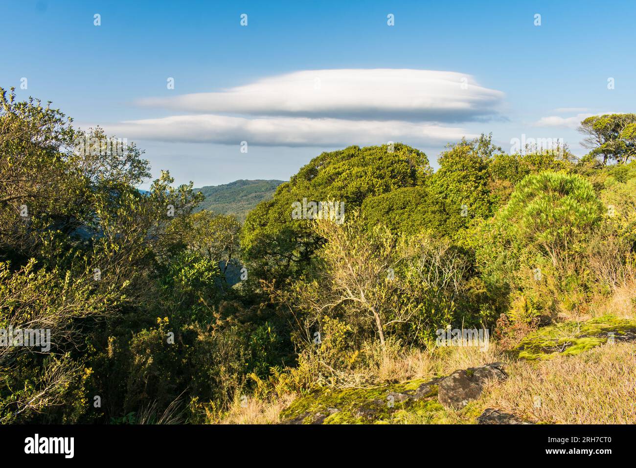 Lenticular cloud formation over landscape at Ronda Municipal Park in ...