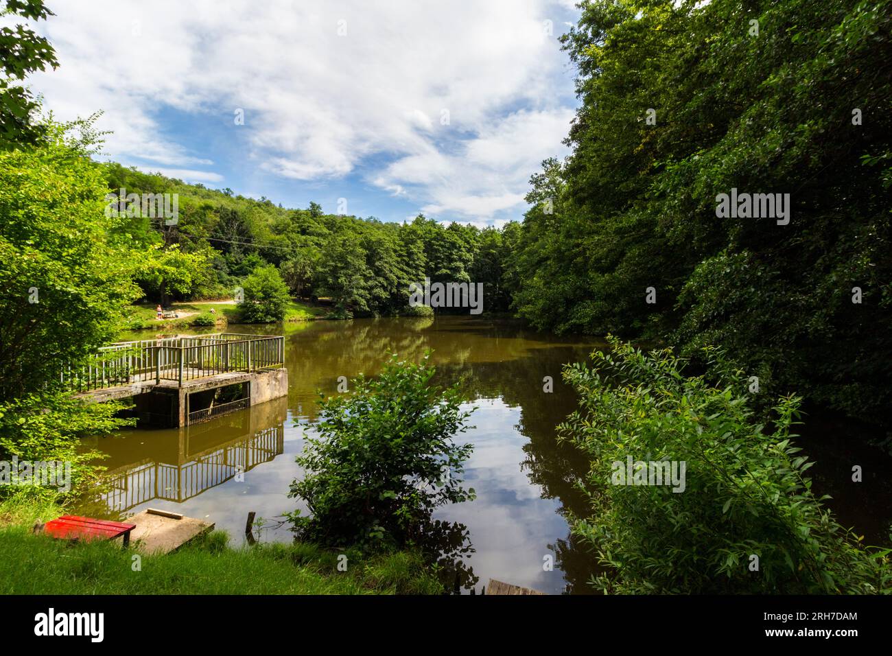 Artificial lake in forest with flood control sluice, Szalamandra-to ...