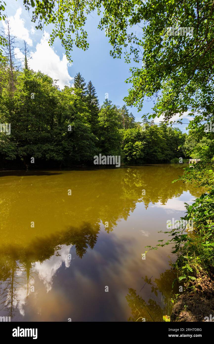 Artificial lake in forest, Szalamandra-to, Sopron, Hungary Stock Photo ...