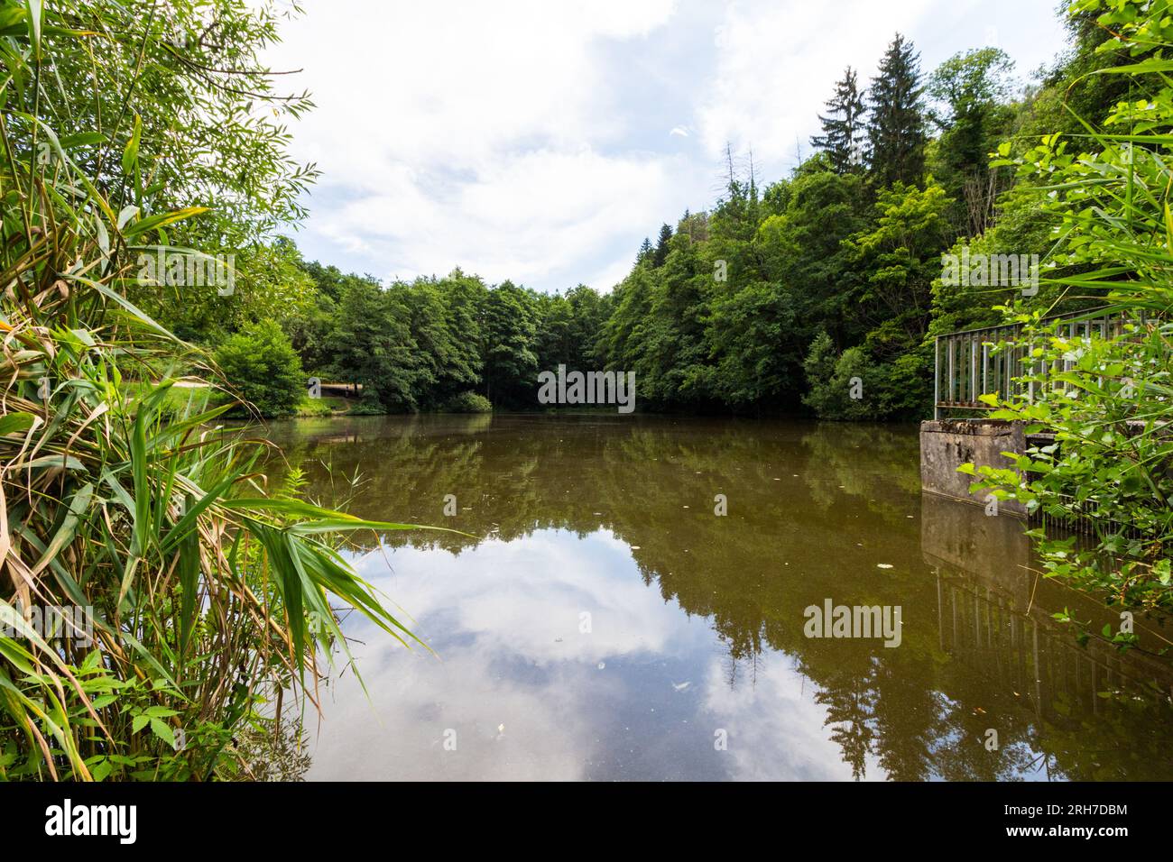 Artificial lake in forest with flood control sluice, Szalamandra-to ...
