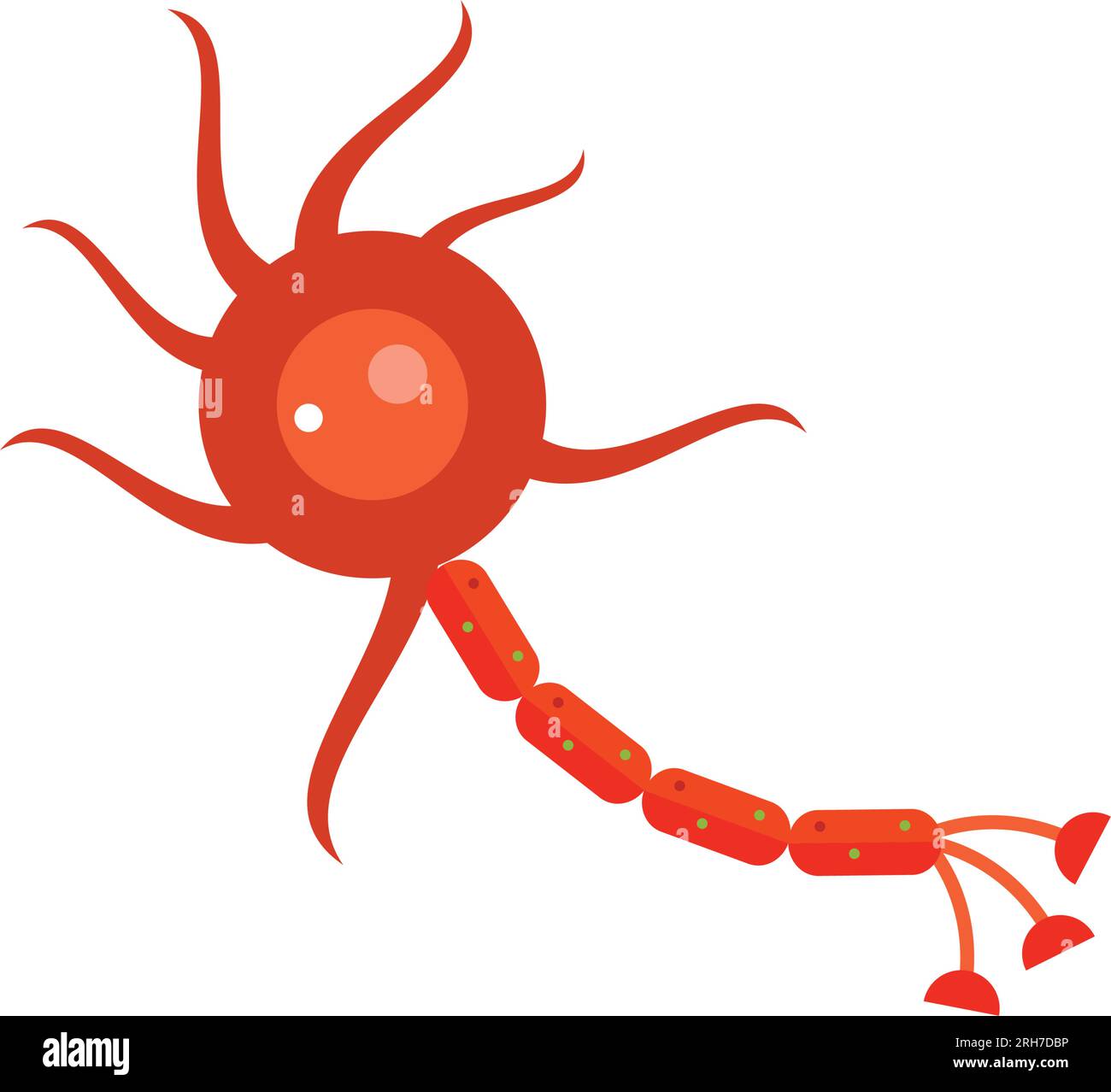 Neuron vector icon Stock Vector Image & Art - Alamy