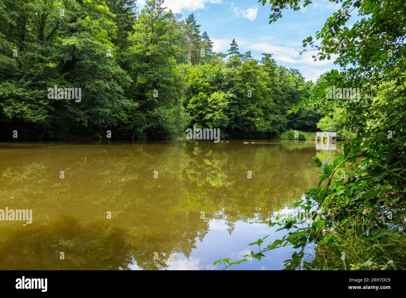 Flood control sluice on artificial lake in forest, Szalamandra-to ...