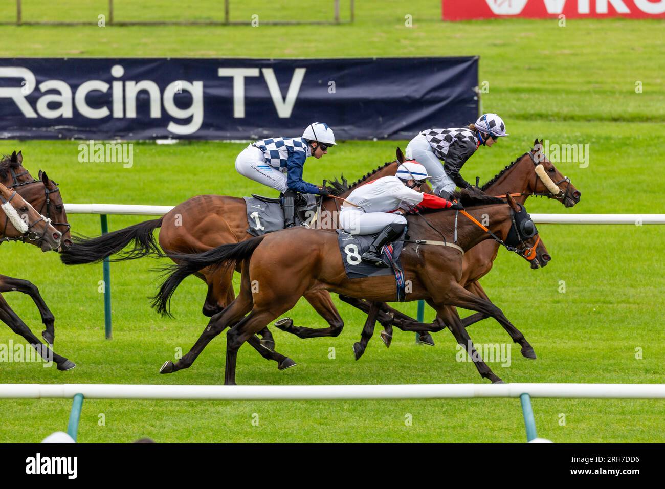 Racehorses running on the grass track at Ayr racecourse, Scotland Stock ...
