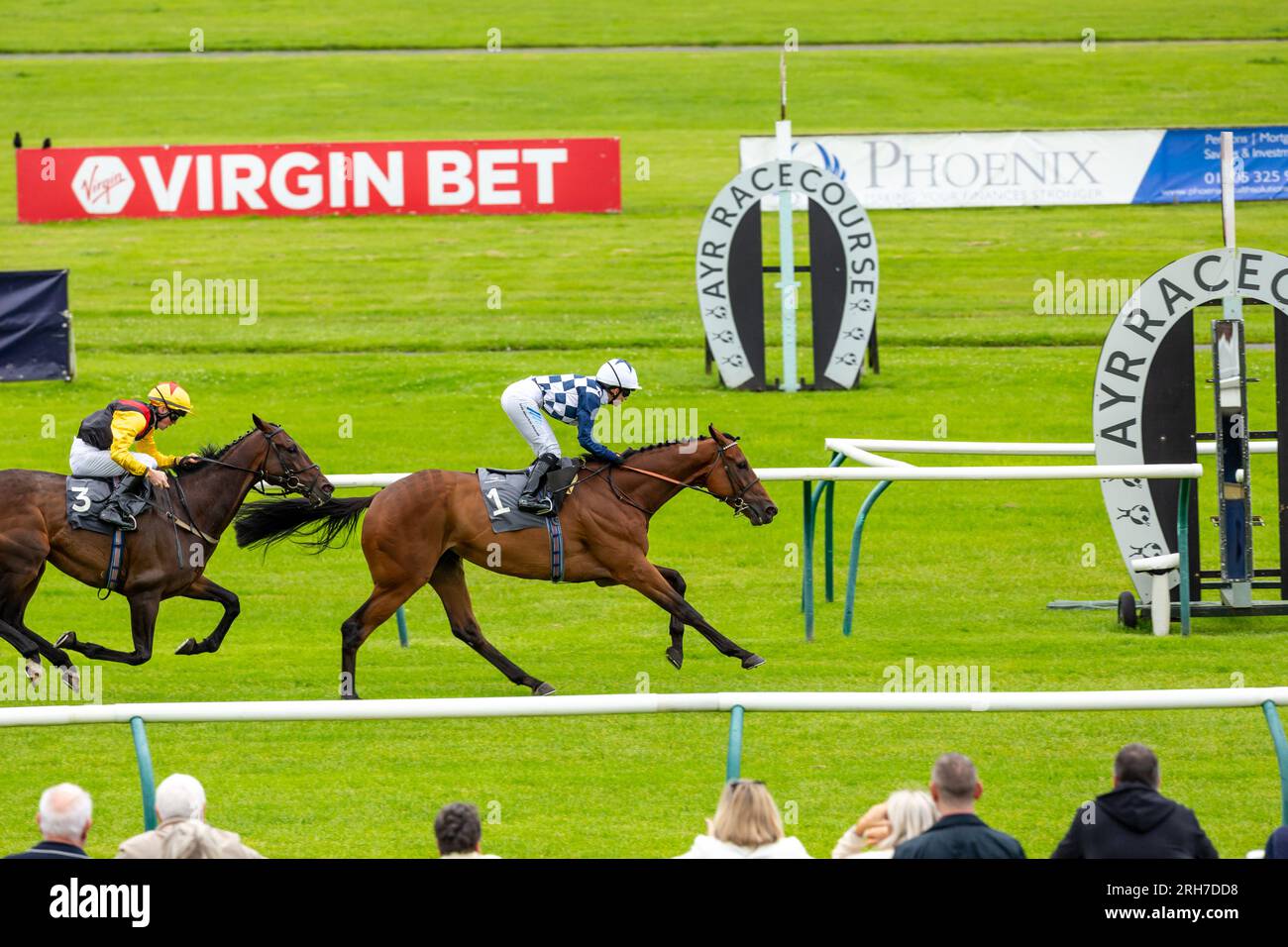 Racehorses running on the grass track at Ayr racecourse, Scotland Stock ...