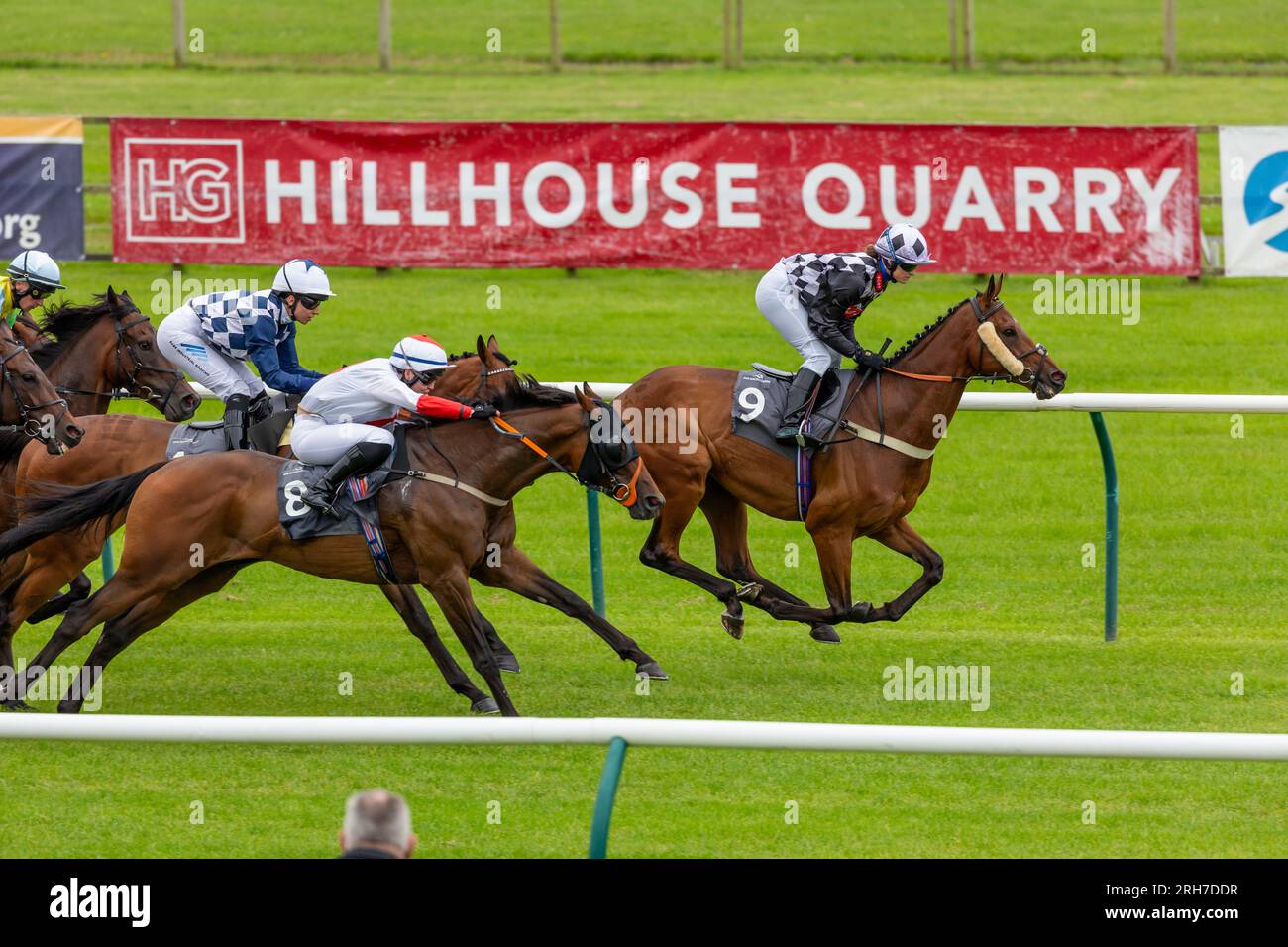 Racehorses running on the grass track at Ayr racecourse, Scotland Stock ...