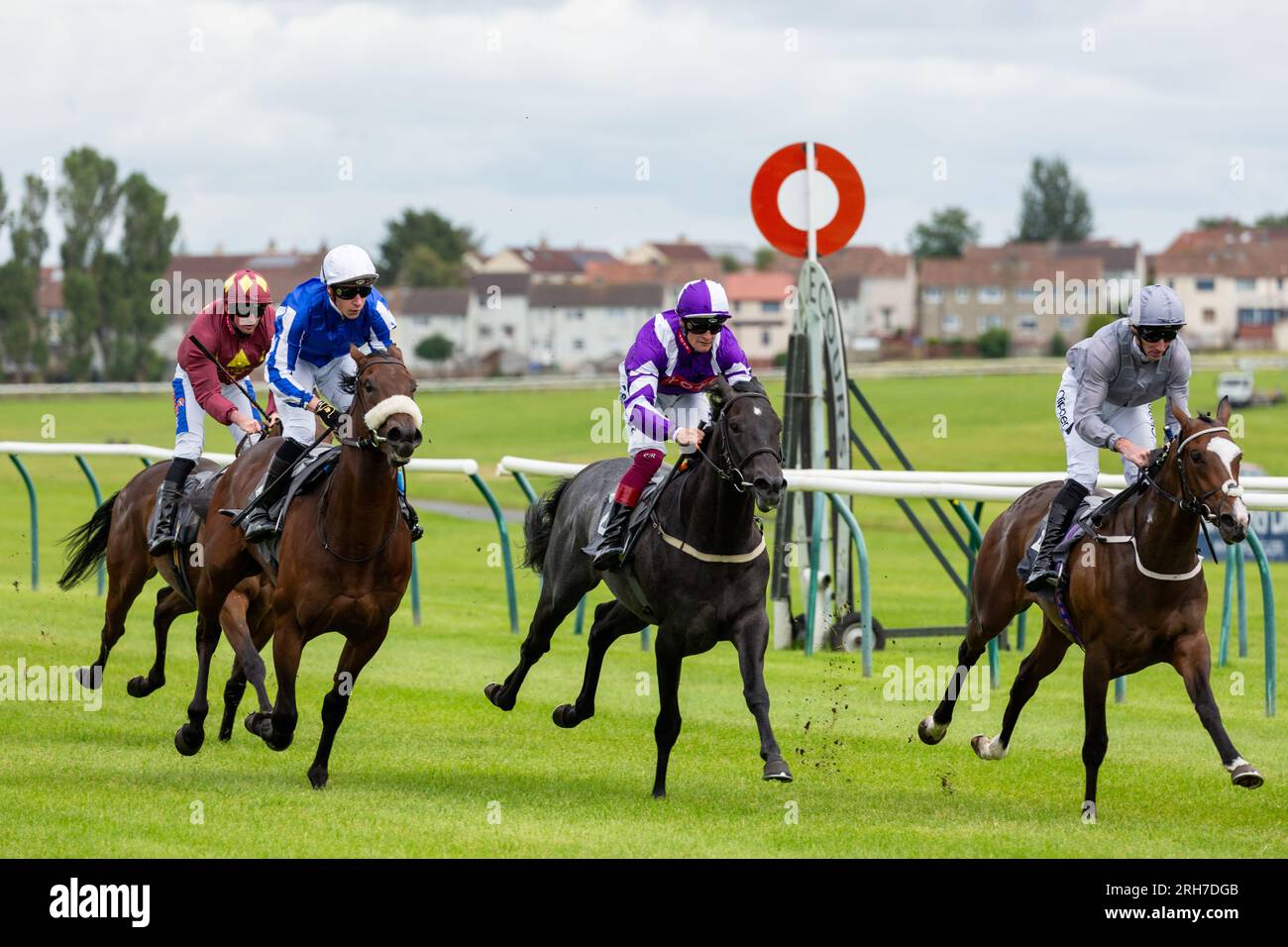 Race horses running along the flat turf track at Ayr Racecourse, Ayr ...