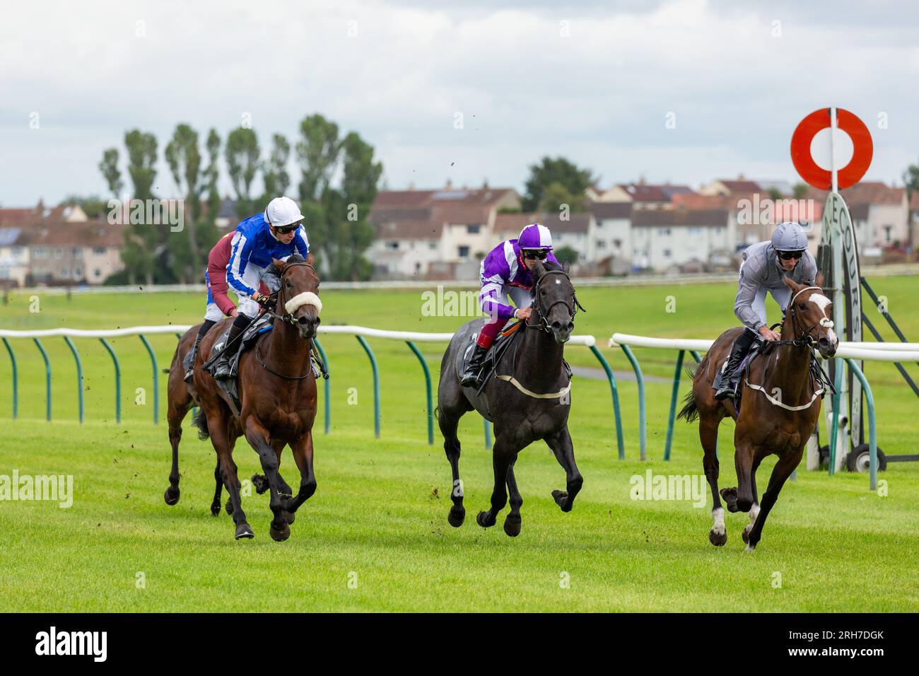 Ayr race hi-res stock photography and images - Alamy