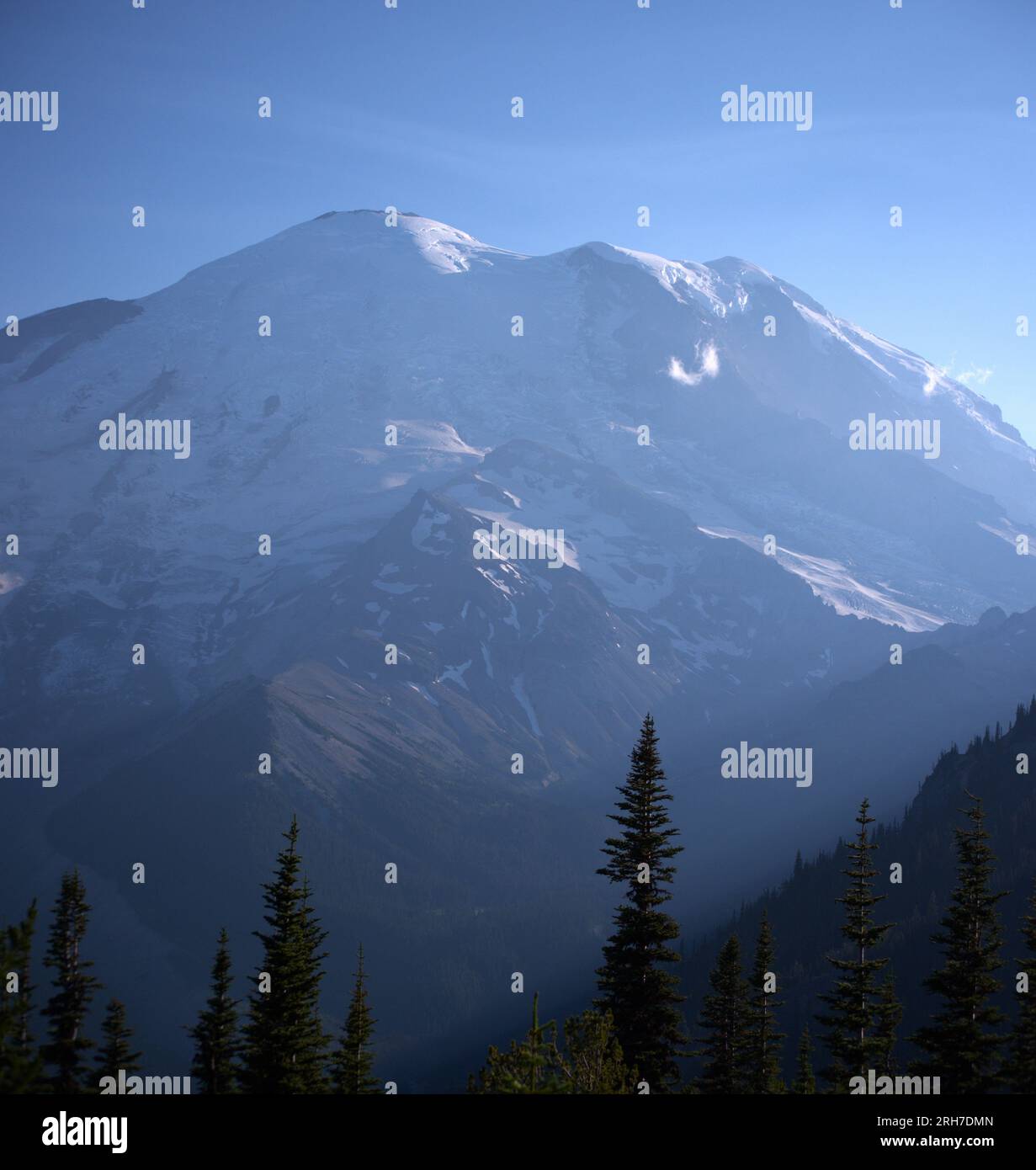 Mt. Taquoma (Mt. Rainier) from the trees Stock Photo - Alamy