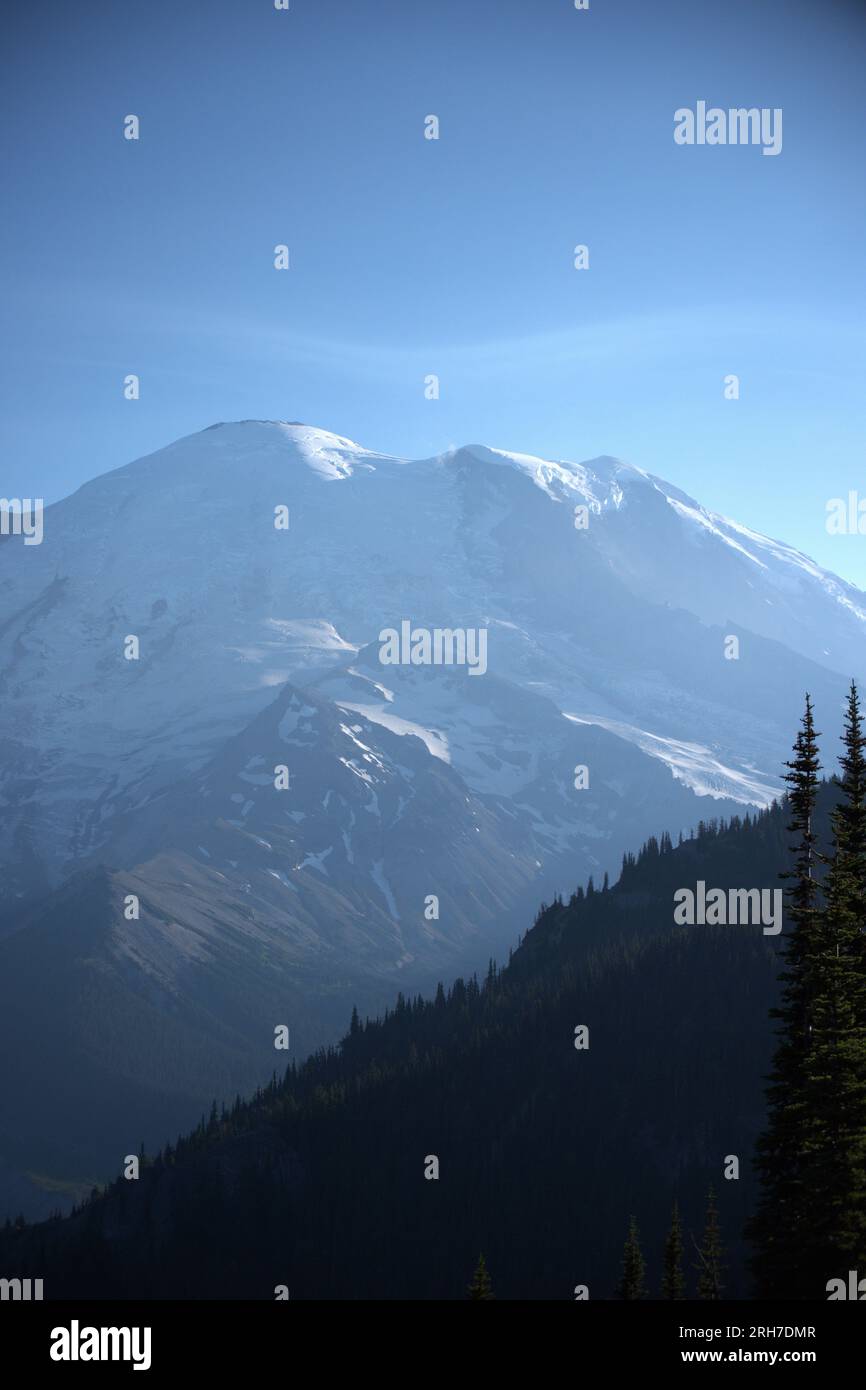 Mt. Taquoma (Mt. Rainier) from the trees Stock Photo - Alamy
