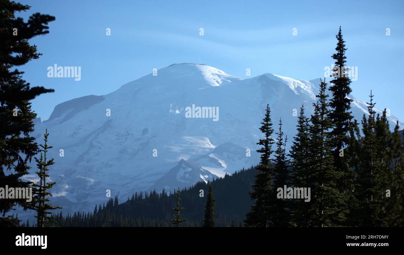 Mt. Taquoma (Mt. Rainier) from the trees Stock Photo - Alamy