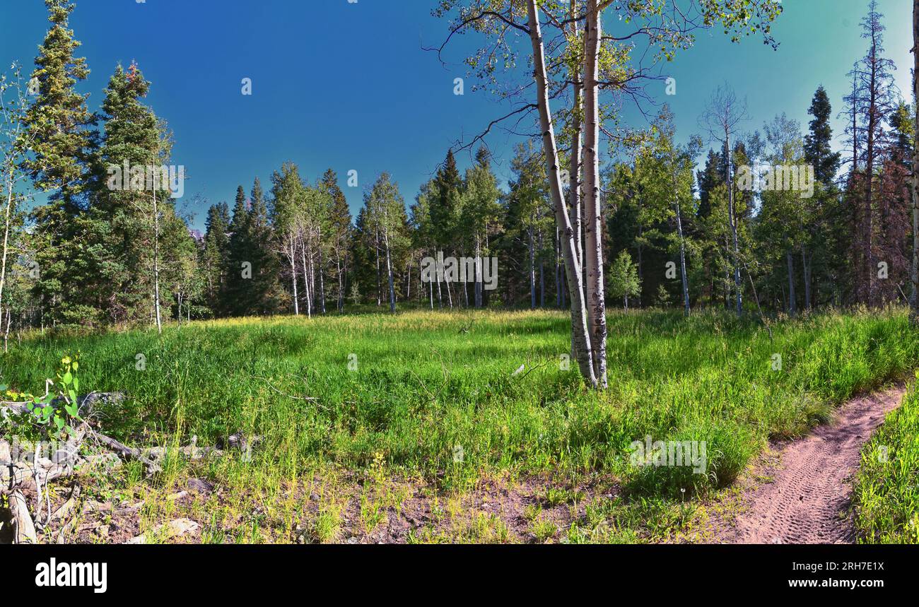 Tibble Fork hiking trail views Lone Peak Wilderness Uinta Wasatch Cache ...