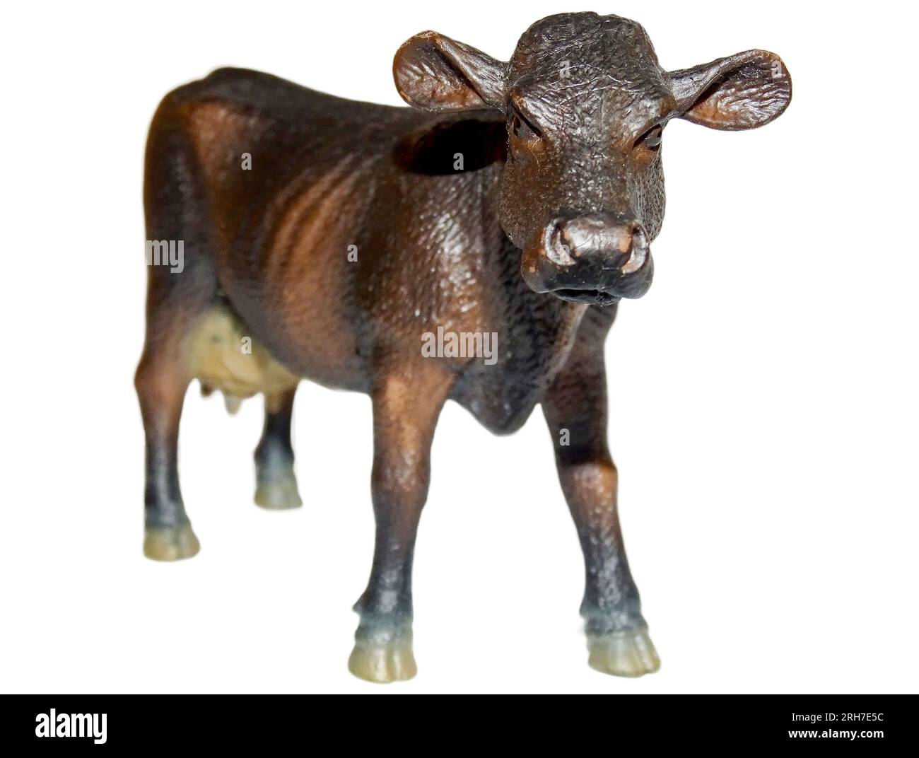 Angus toy Cut Out Stock Images & Pictures - Alamy