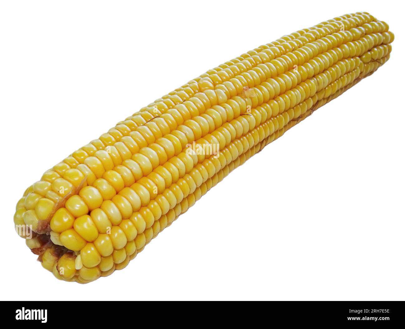 Boiled corn isolated on white background Stock Photo - Alamy