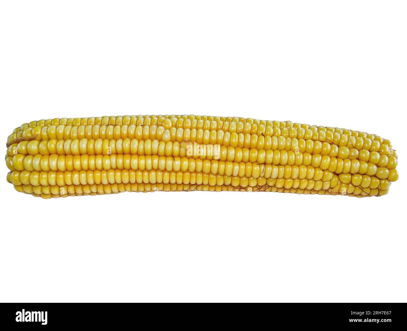 Boiled corn isolated on white background Stock Photo - Alamy