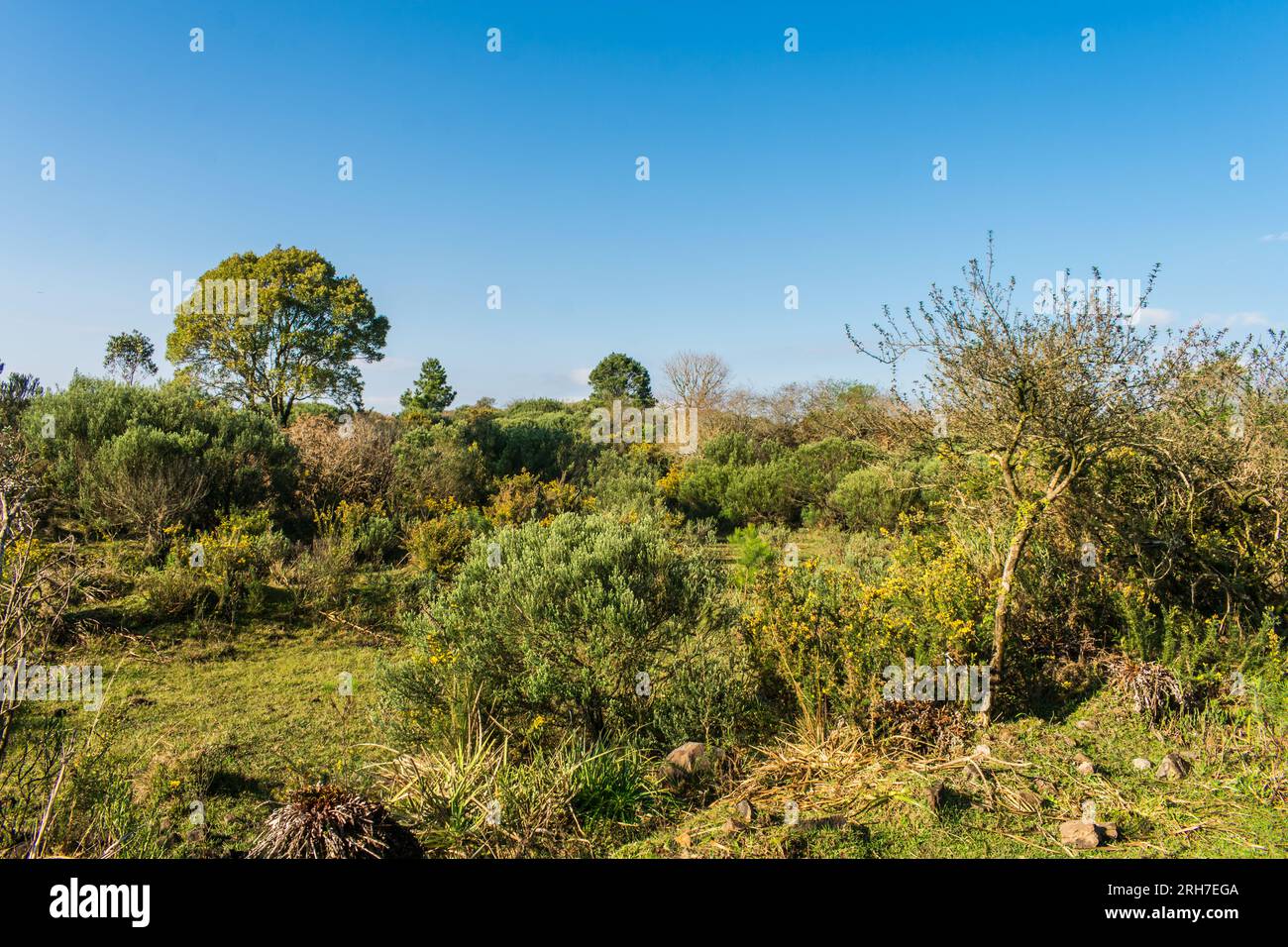 A view of the Parque Natural Municipal da Ronda (Ronda Municipal ...