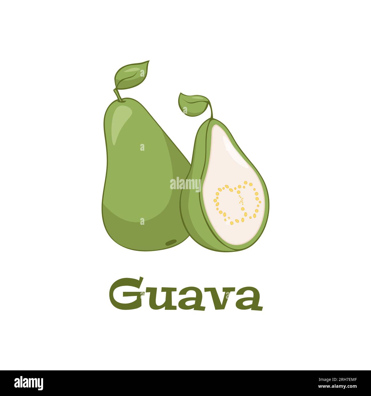 Guava, tasty edible tropical green fruit icon. Vector guava cartoon ...