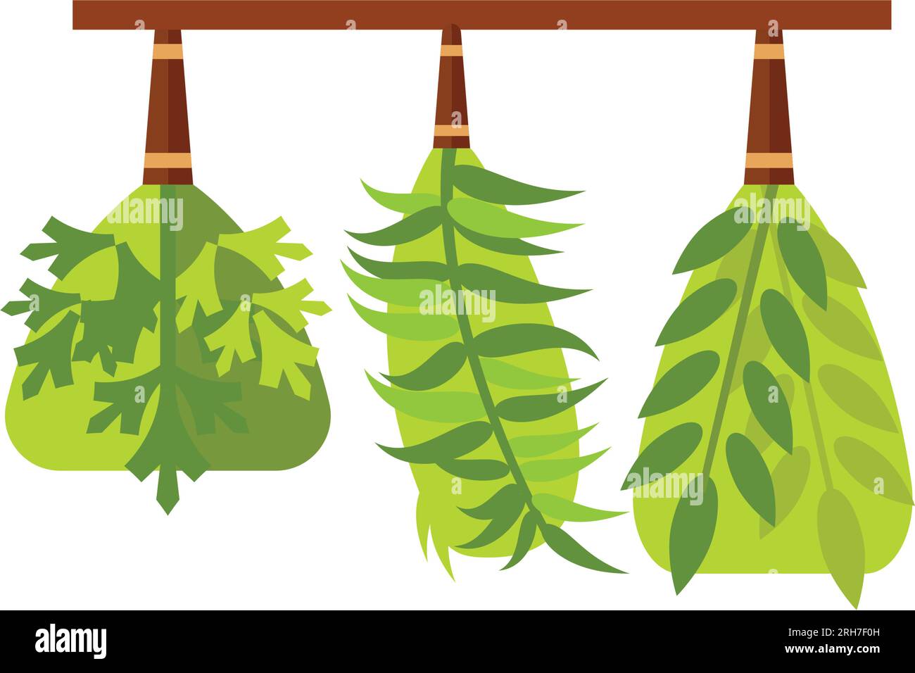 Dried herbs hanging Stock Vector Images - Alamy