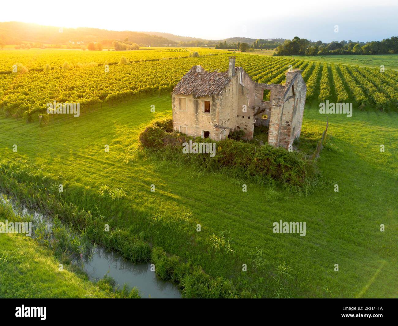 Aerial view of old farm house ruin in grapevine field in summer sunset ...