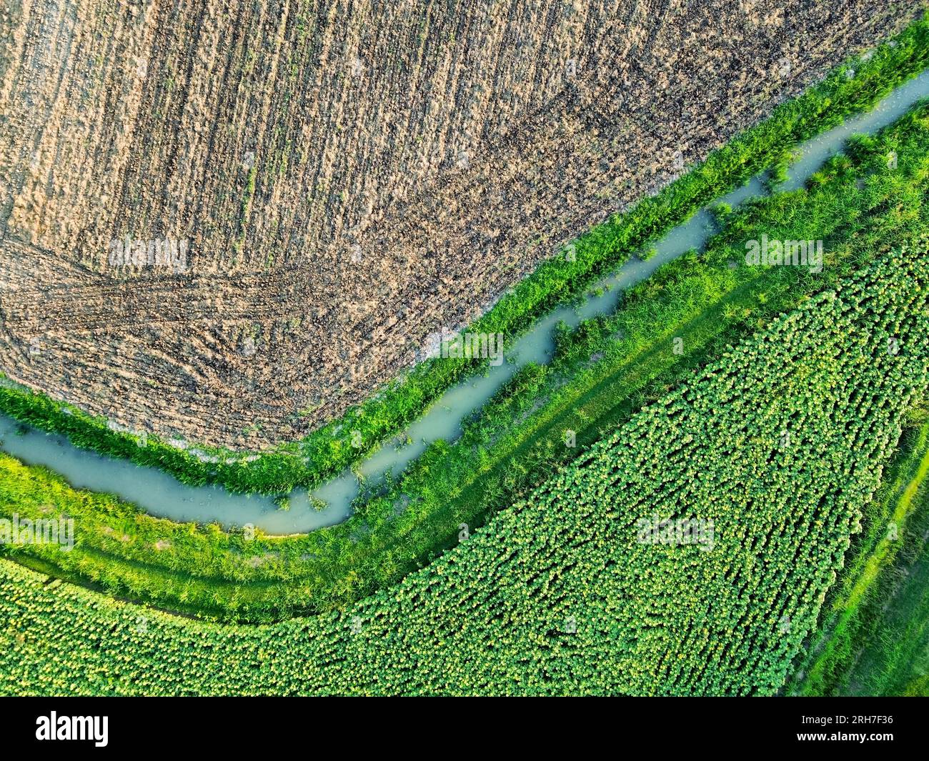 Watering chart hi-res stock photography and images - Alamy
