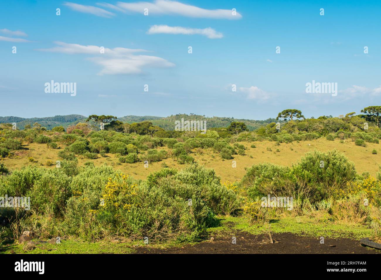 A view of the Parque Natural Municipal da Ronda (Ronda Municipal ...