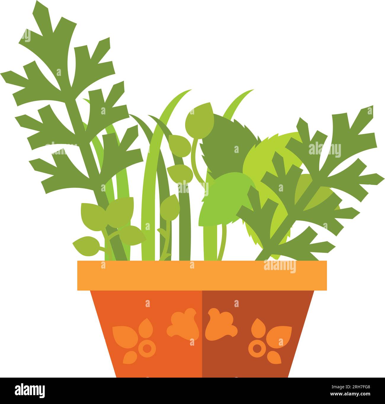 Oregano pot garden Stock Vector Images - Alamy