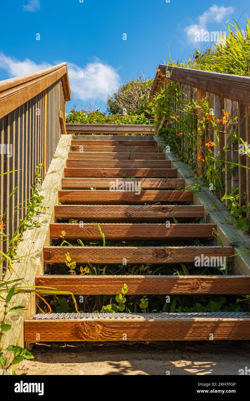 A shady wooden staircase in the Park leading up in sunny day. Wooden ...