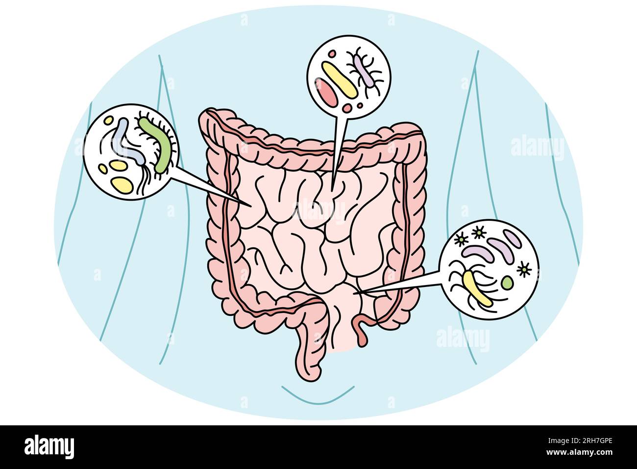 Digestive tract with bacteria inside. Person digestion organs ...