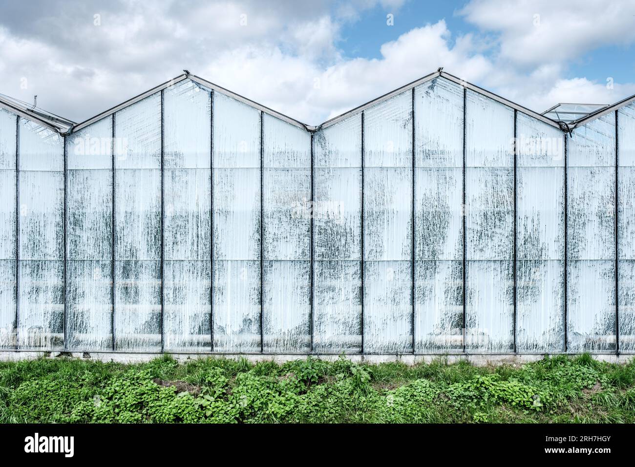 Frontal view of a modern industrial greenhouse in the Netherlands Stock ...