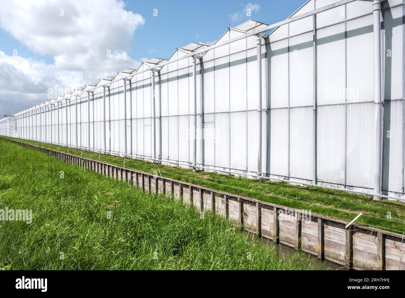 Perspective view of a modern industrial greenhouse in the Netherlands ...