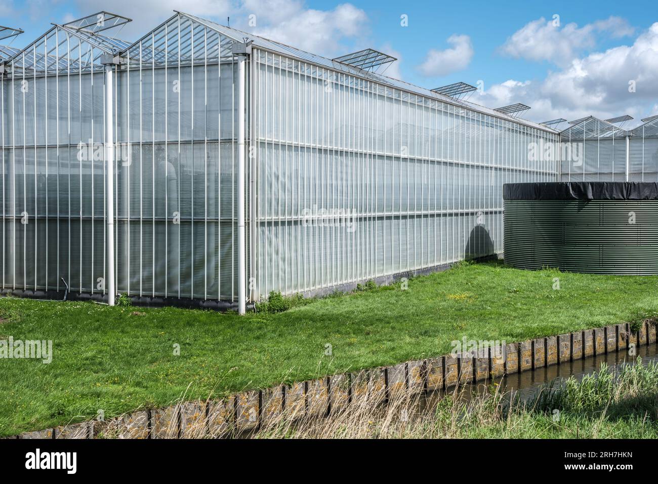 Perspective view of a modern industrial greenhouse in the Netherlands ...