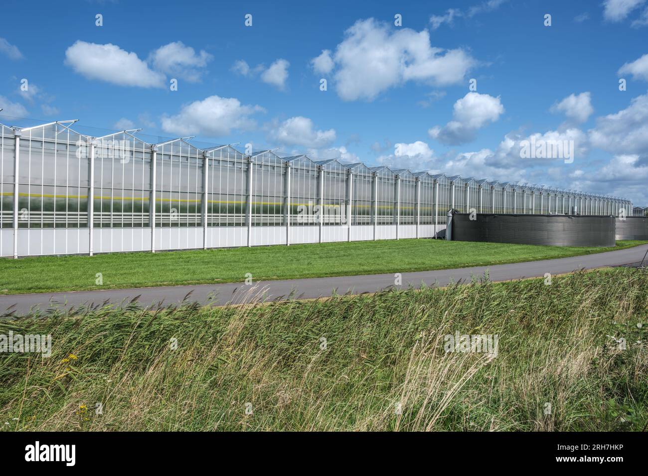 Perspective view of a modern industrial greenhouse in the Netherlands ...