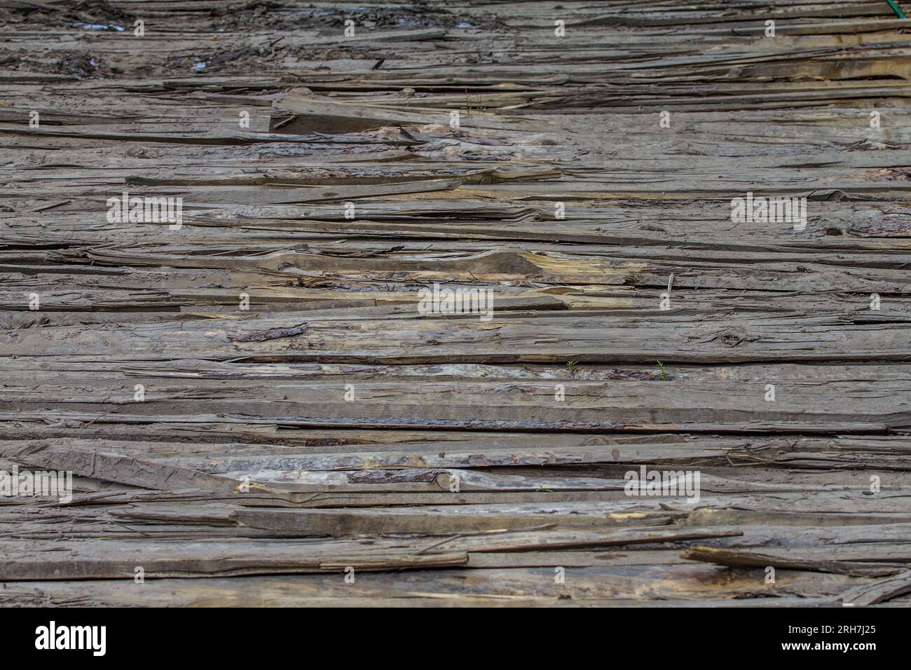 Drag road, plank in mud area, forest. Plank background Stock Photo - Alamy