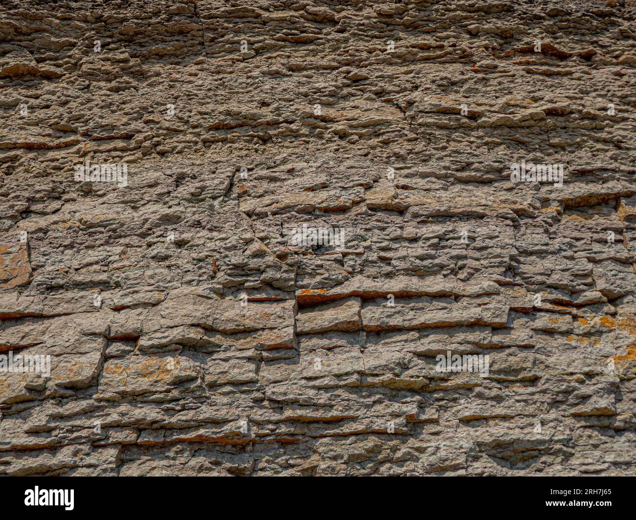 Cliffed river shore, klip. Layers of limestone of the Ordovician period ...
