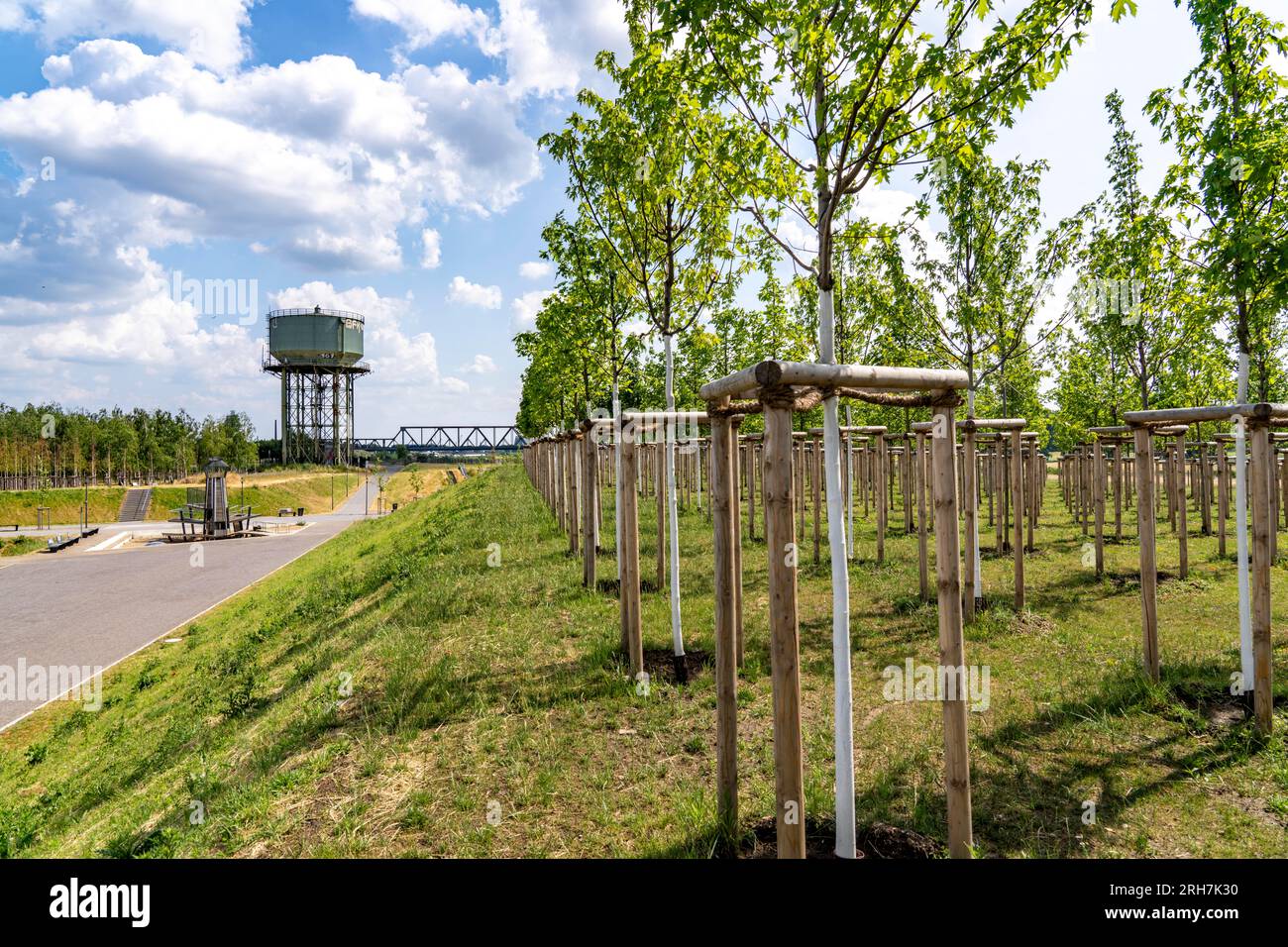 The Rheinpark in Duisburg-Hochfeld, on the Rhine, for over 150 years ...
