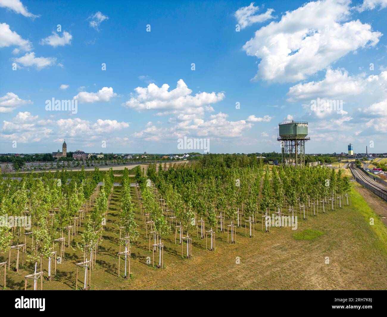 The Rheinpark in Duisburg-Hochfeld, on the Rhine, for over 150 years ...