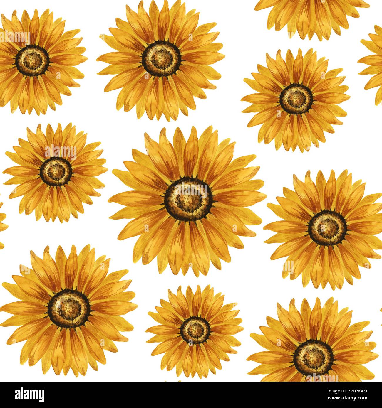 Seamless pattern with bright sunflowers isolated on white background ...