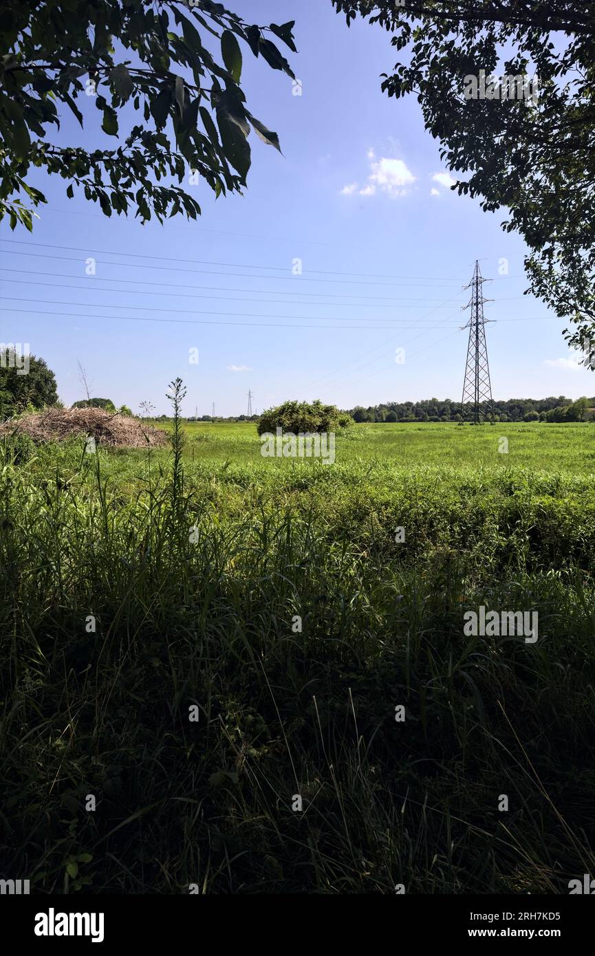 Grass field with a pylon and over head cables with groves in the ...