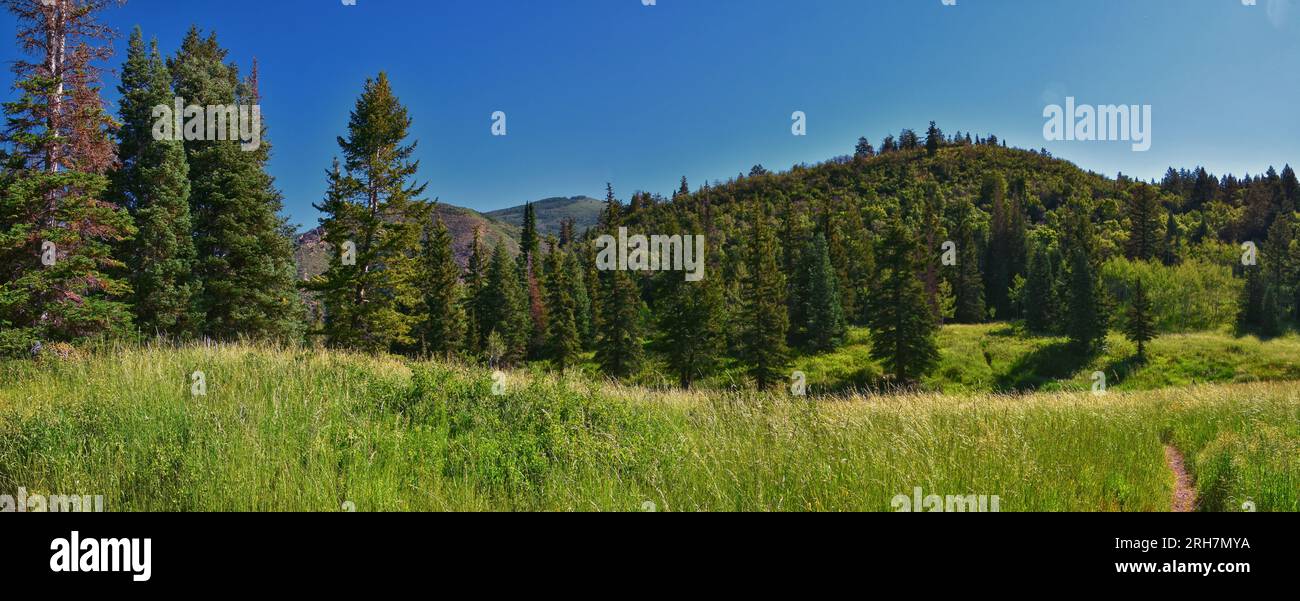 Tibble Fork hiking views from trail Lone Peak Wilderness Uinta Wasatch ...