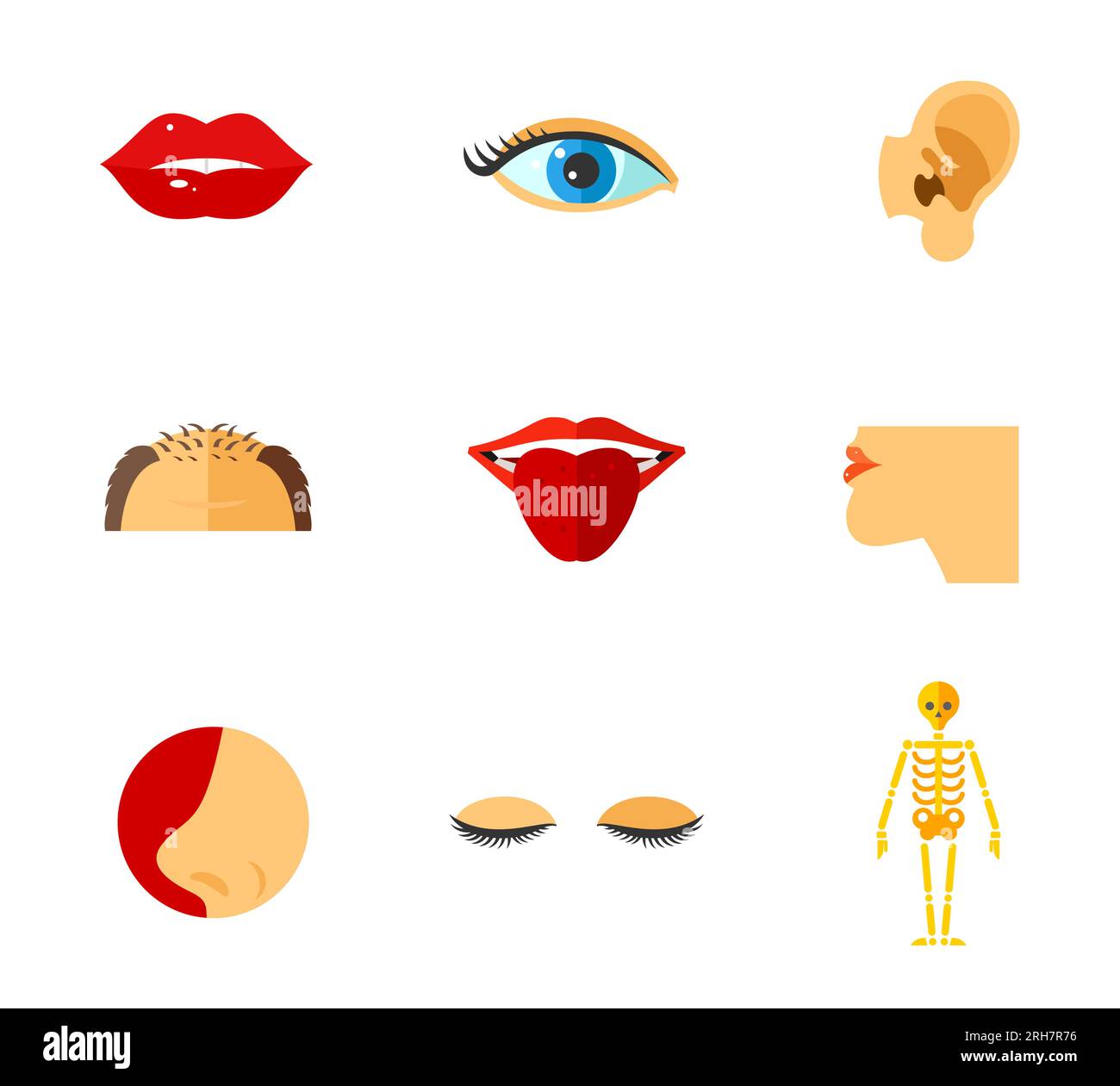 Human face parts icon set Stock Vector Image & Art - Alamy