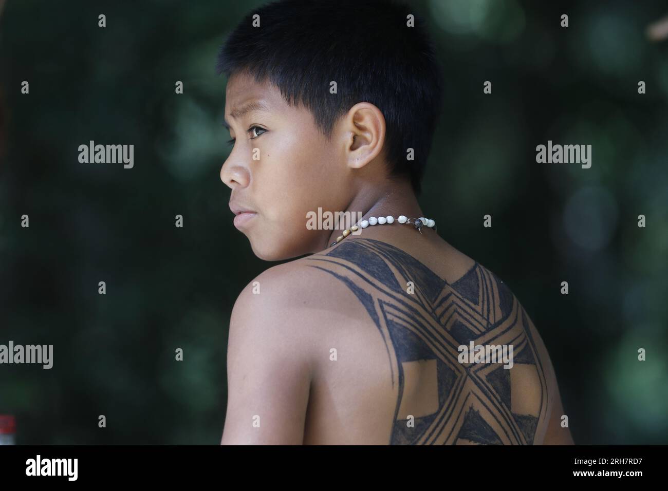 Brazilian indigenous boy portrait with body painted back tatoo with ink ...