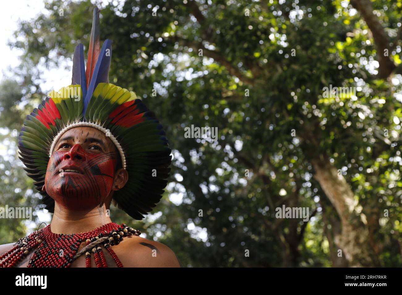 Brazil indigenous people face painting hi-res stock photography and ...