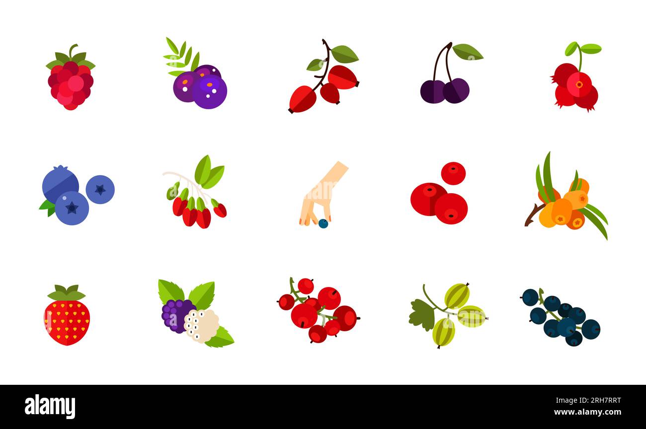 Wild berries icon set Stock Vector Image & Art - Alamy