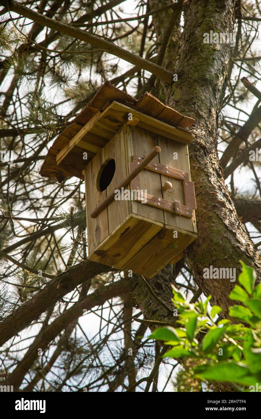 Black tree nest hi-res stock photography and images - Alamy