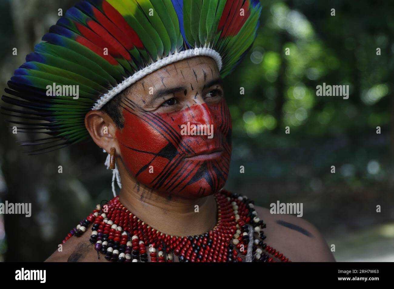 Brazilian indigenous man of Pataxó ethnic group portrait celebrating ...