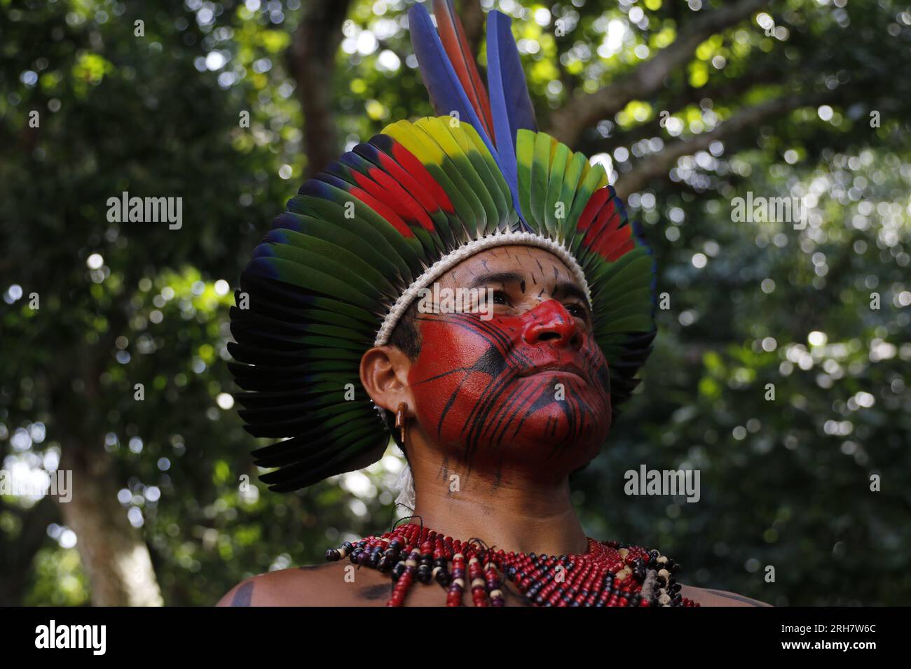 Brazilian indigenous man of Pataxó ethnic group portrait celebrating ...
