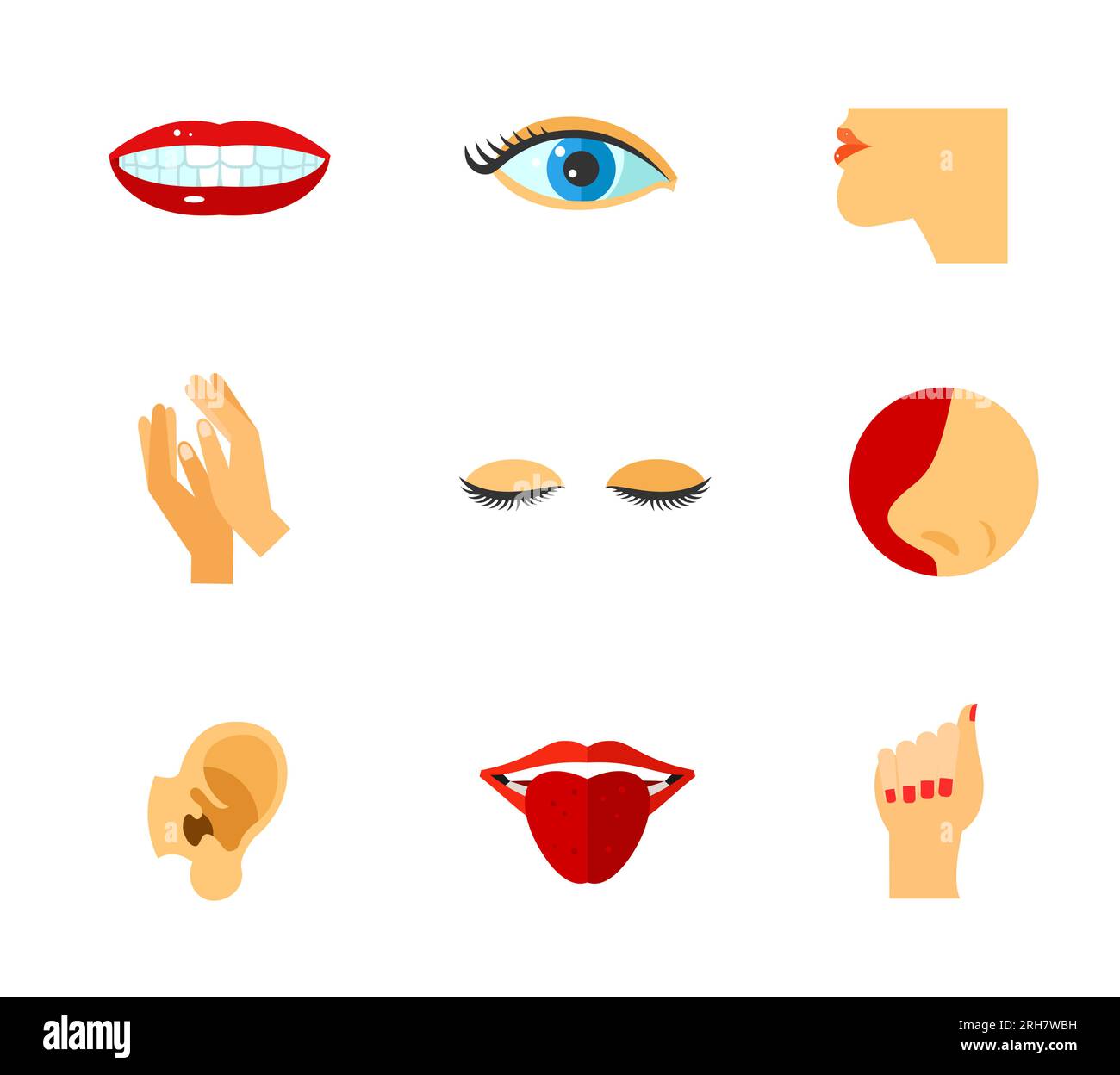 Body parts icon set Stock Vector Image & Art - Alamy