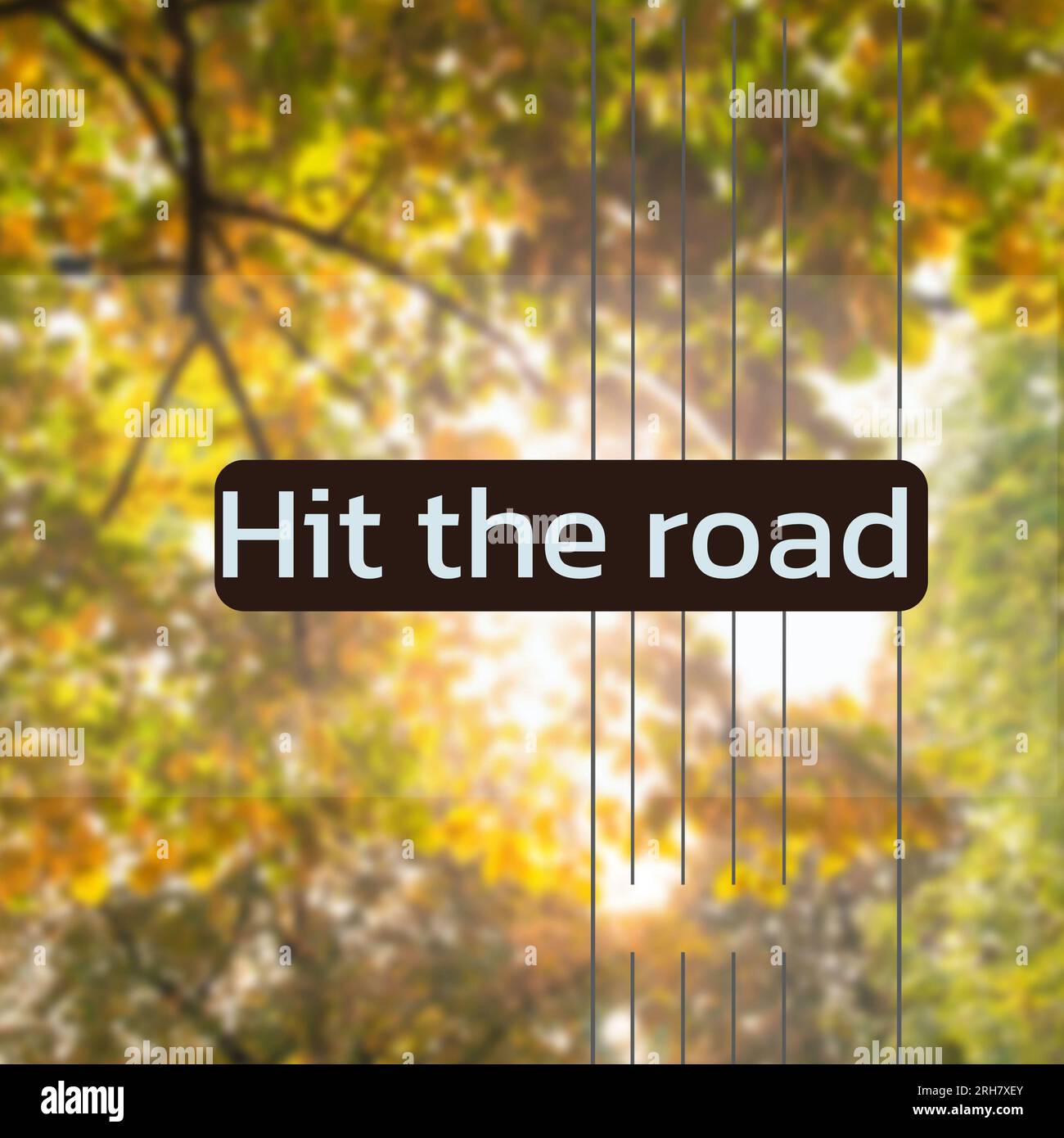 Composite of hit the road text over trees in forest Stock Photo - Alamy