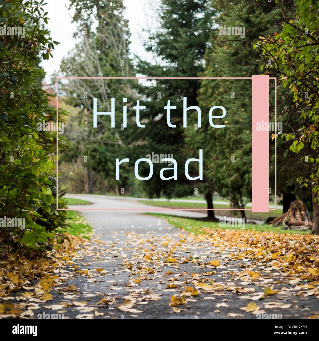 Composite of hit the road text over path and trees in autumn park Stock ...