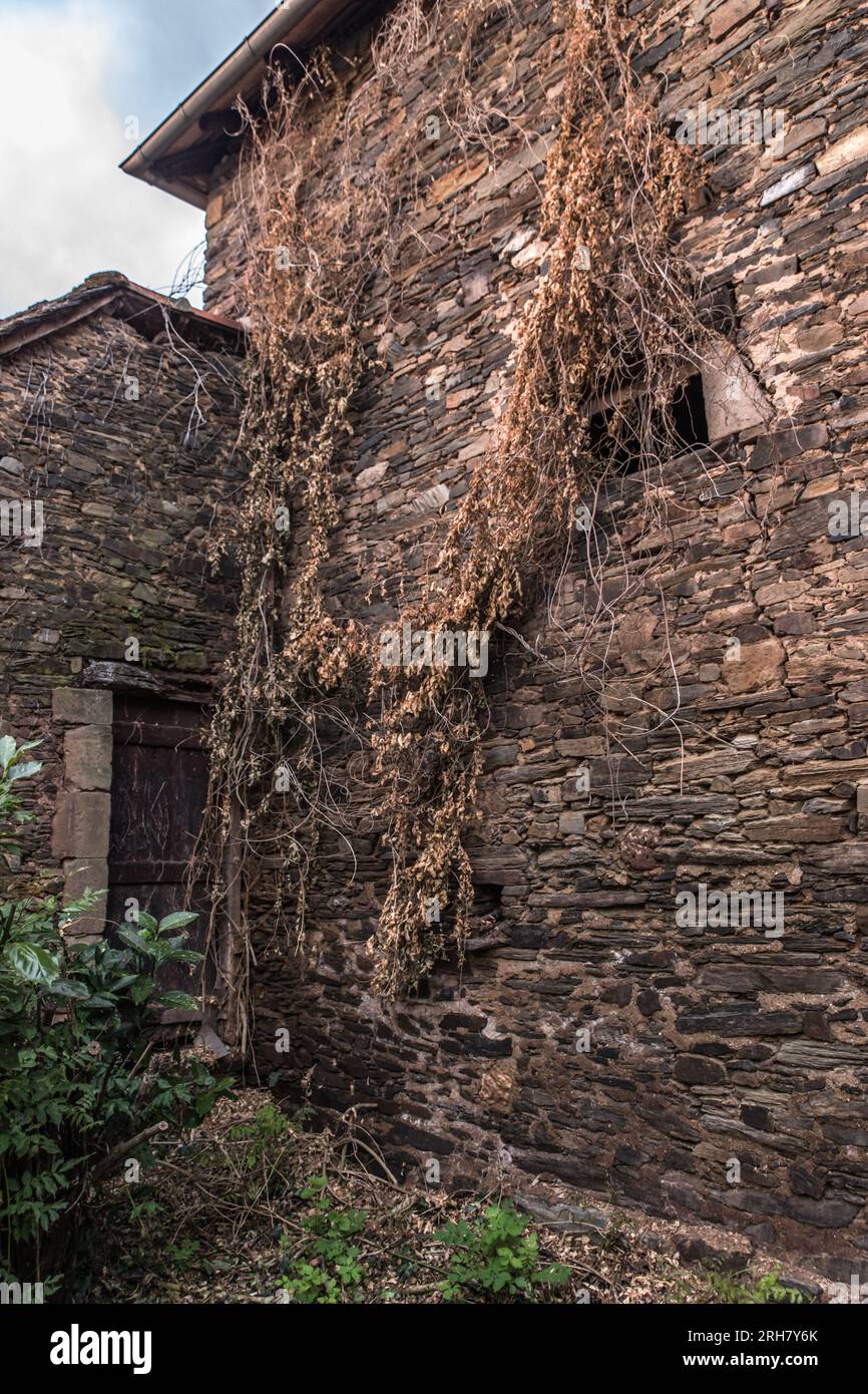 Mur ancien hi-res stock photography and images - Alamy