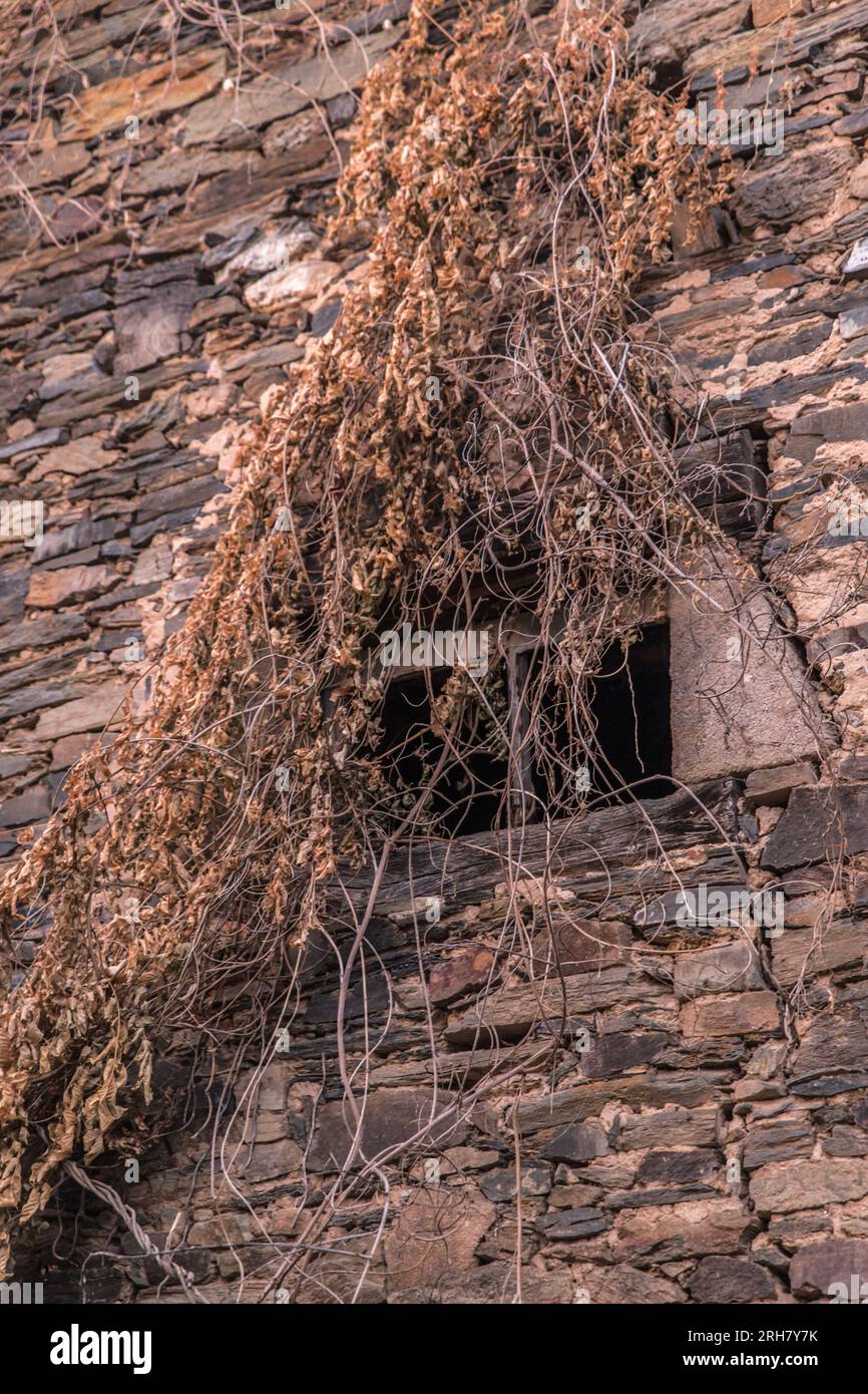 Mur ancien hi-res stock photography and images - Alamy